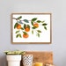 Orange Tree Watercolor Painting Large Kitchen Poster Fruit Art - Etsy