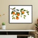 Orange Tree Watercolor Painting Large Kitchen Poster Fruit Art - Etsy