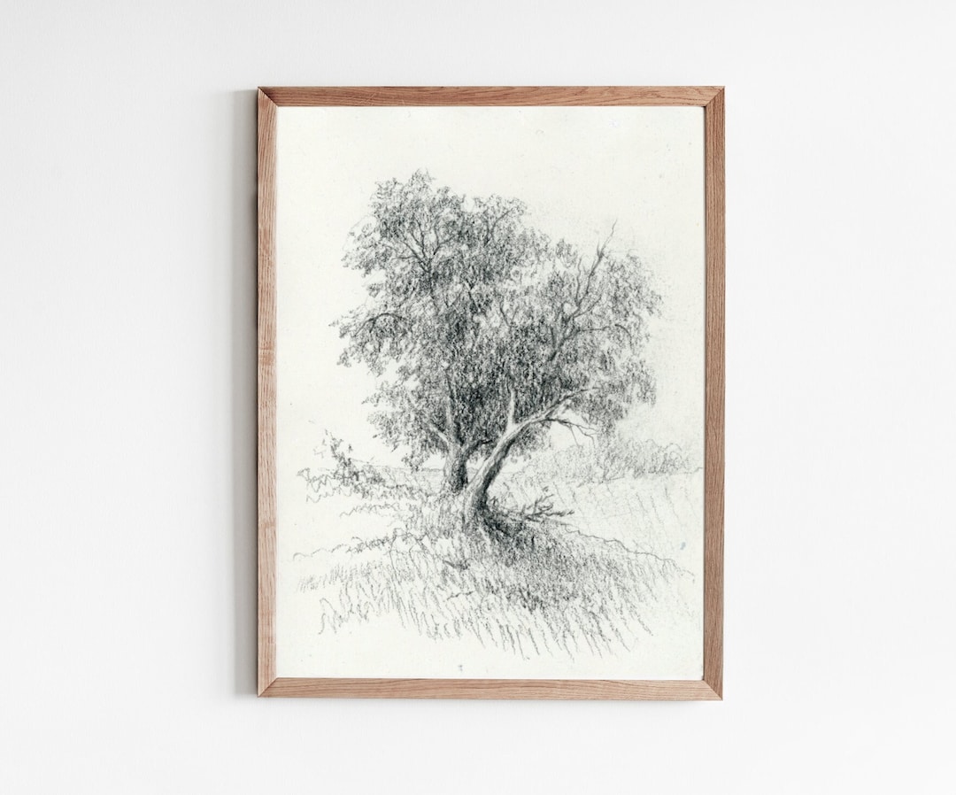 Oak Tree Drawing Old Tree Sketch Art Print Vintage Wall Art Farmhouse ...