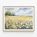 Daisy Field Art Print Wildflowers Watercolor Painting Countryside ...
