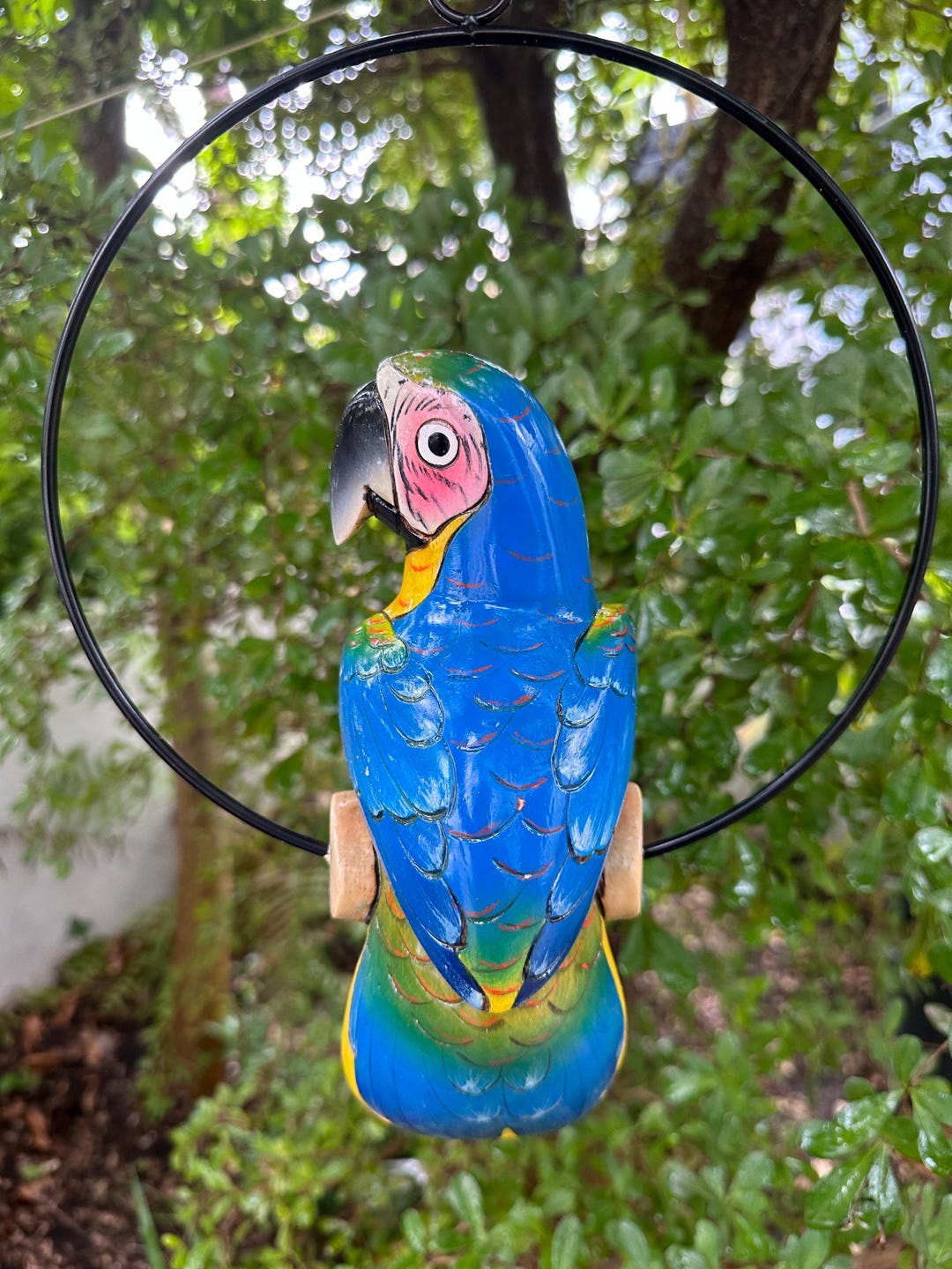 8” Wood Carved Parrot - Etsy