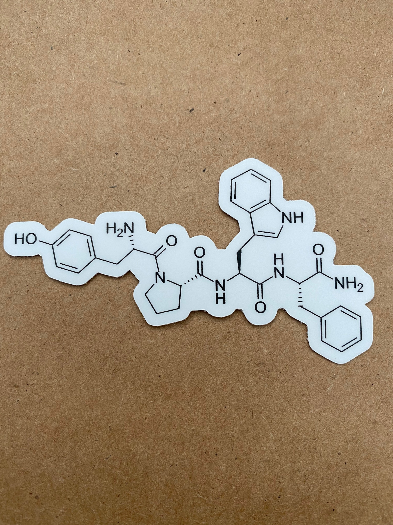 Endorphin Sticker Science Teacher Gift Science Lover Gift - Etsy