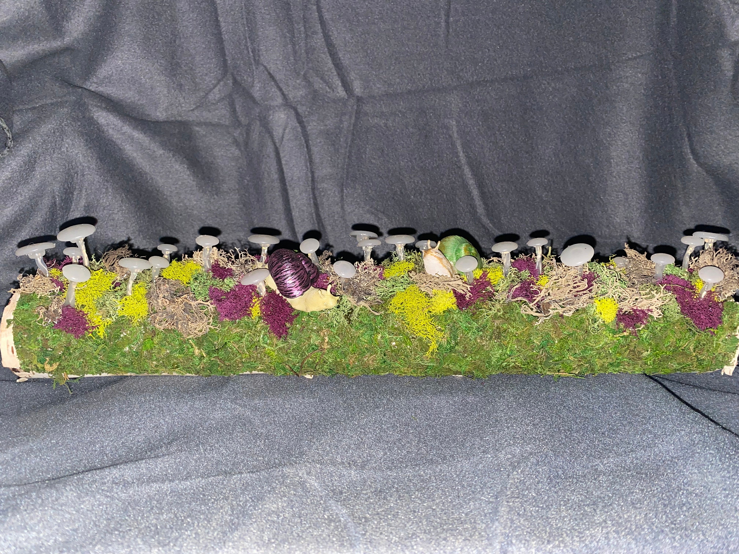 Beautiful Mushroom Log - Etsy