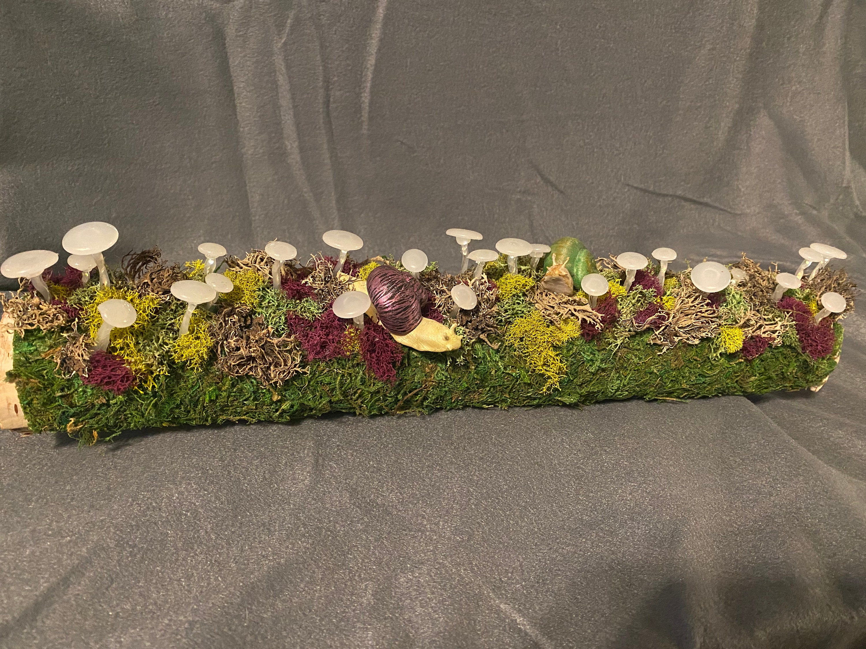 Beautiful Mushroom Log - Etsy