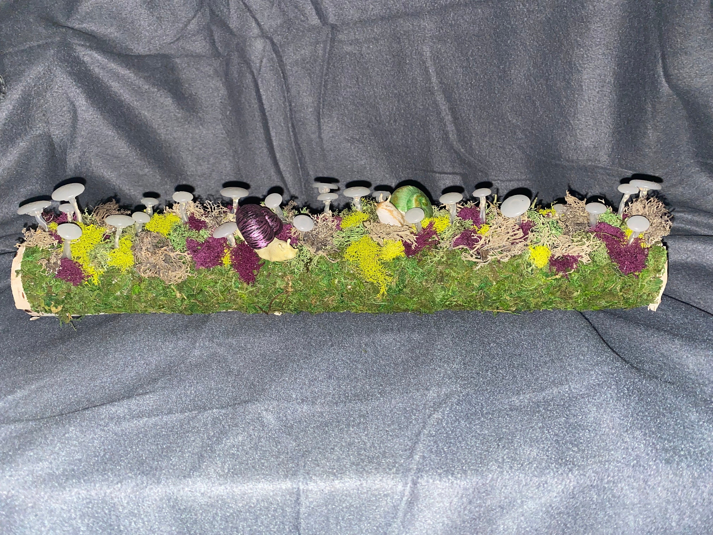 Beautiful Mushroom Log - Etsy