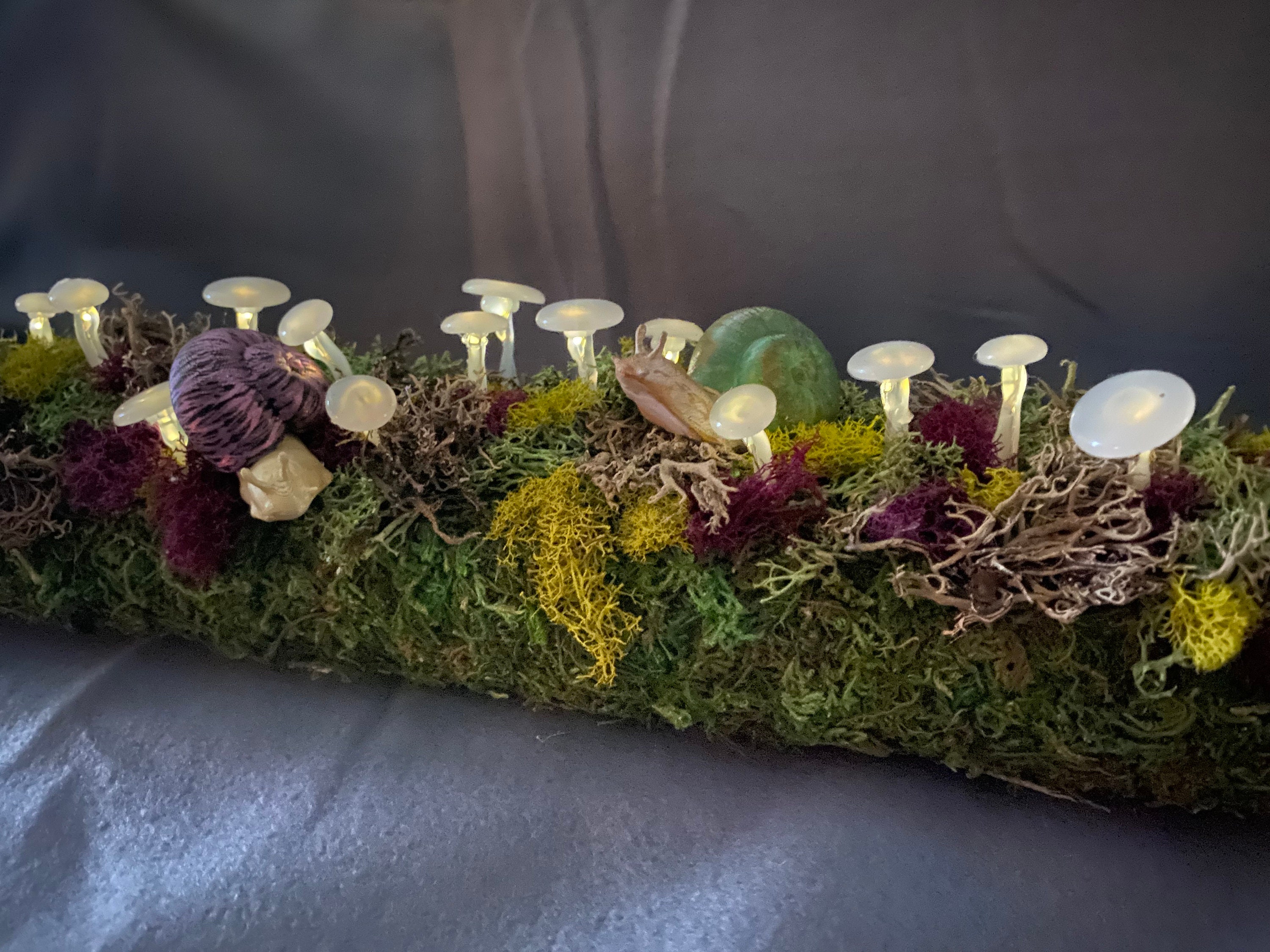 Beautiful Mushroom Log - Etsy