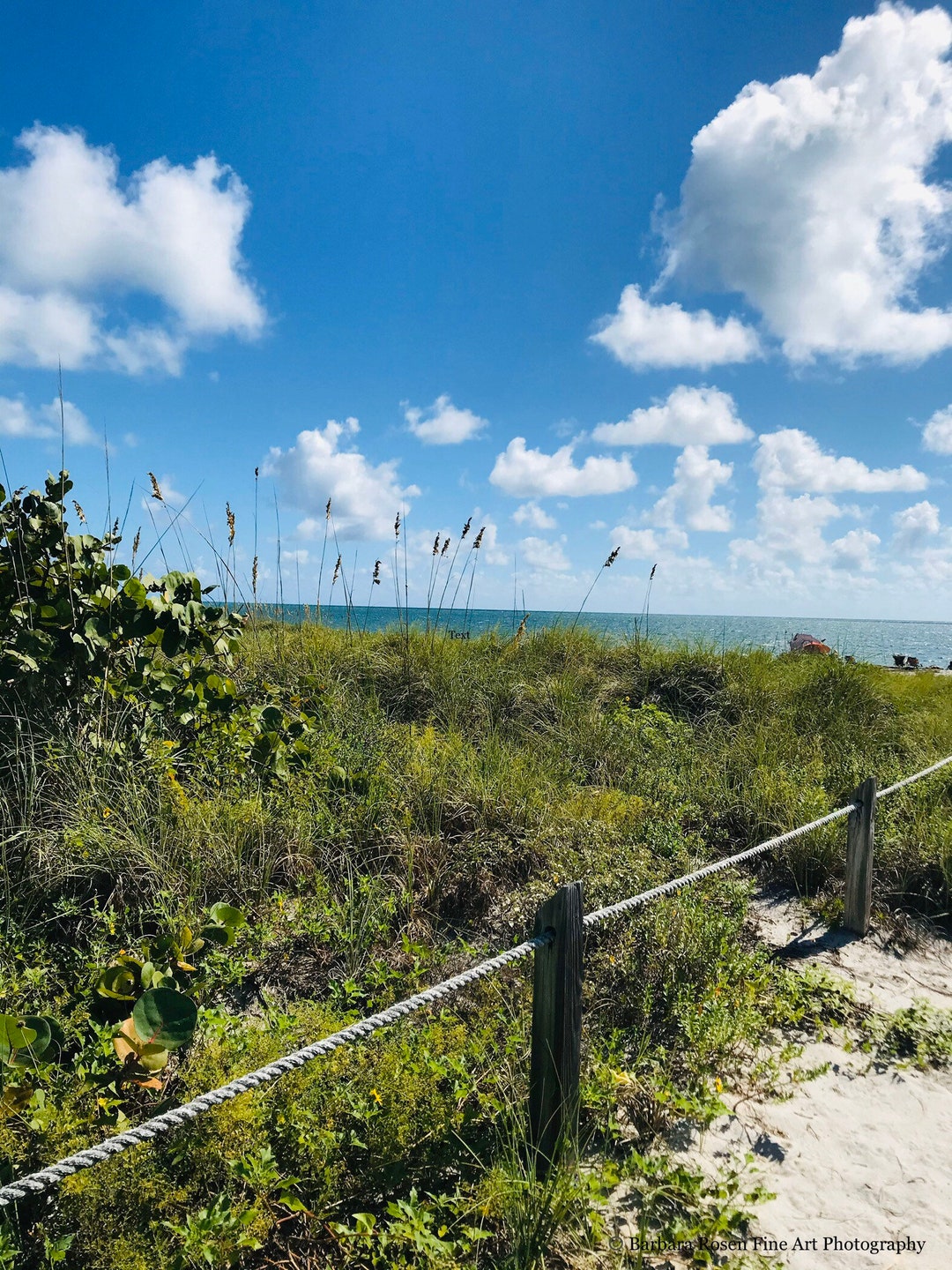 Key Biscayne, Florida , Bill Baggs Cape Florida State Park, Beach Dunes ...