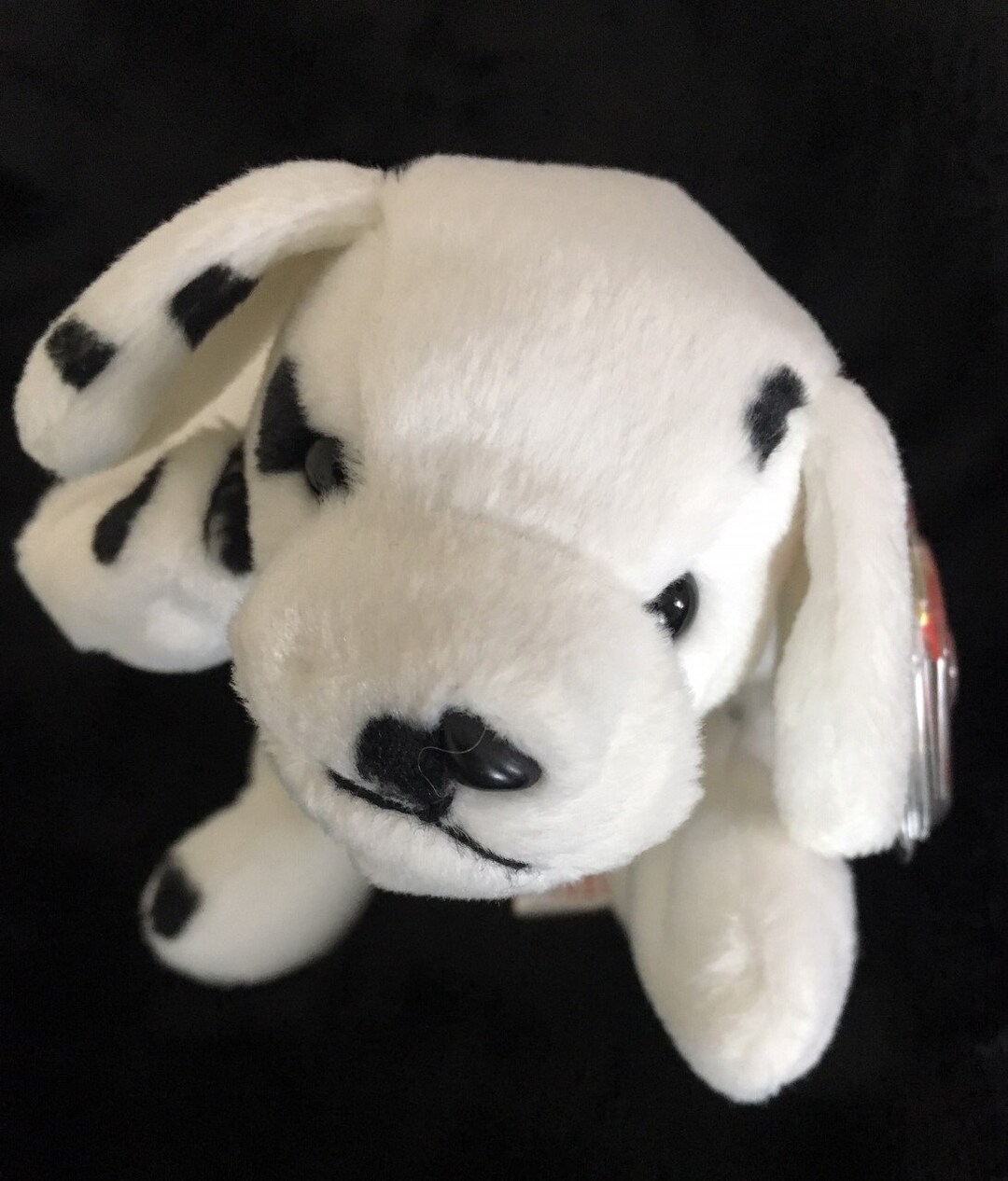 Sparky the TY Beanie Baby NO STAR, Errors, Waterlooville, Rare, Mint - Etsy