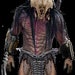 NEW Special Movie Edition 'PREY' Feral Predator Resin Model Bust Kit ...
