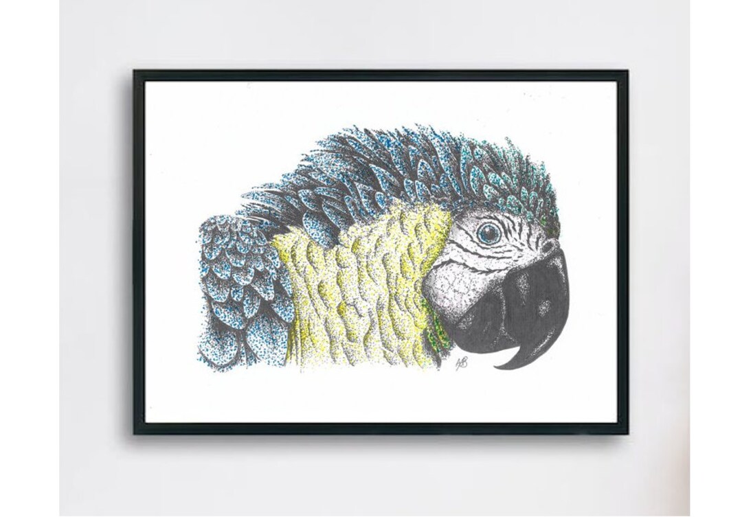 Hand Finished Macaw Parrot Dot Work Art Print A5 - Etsy