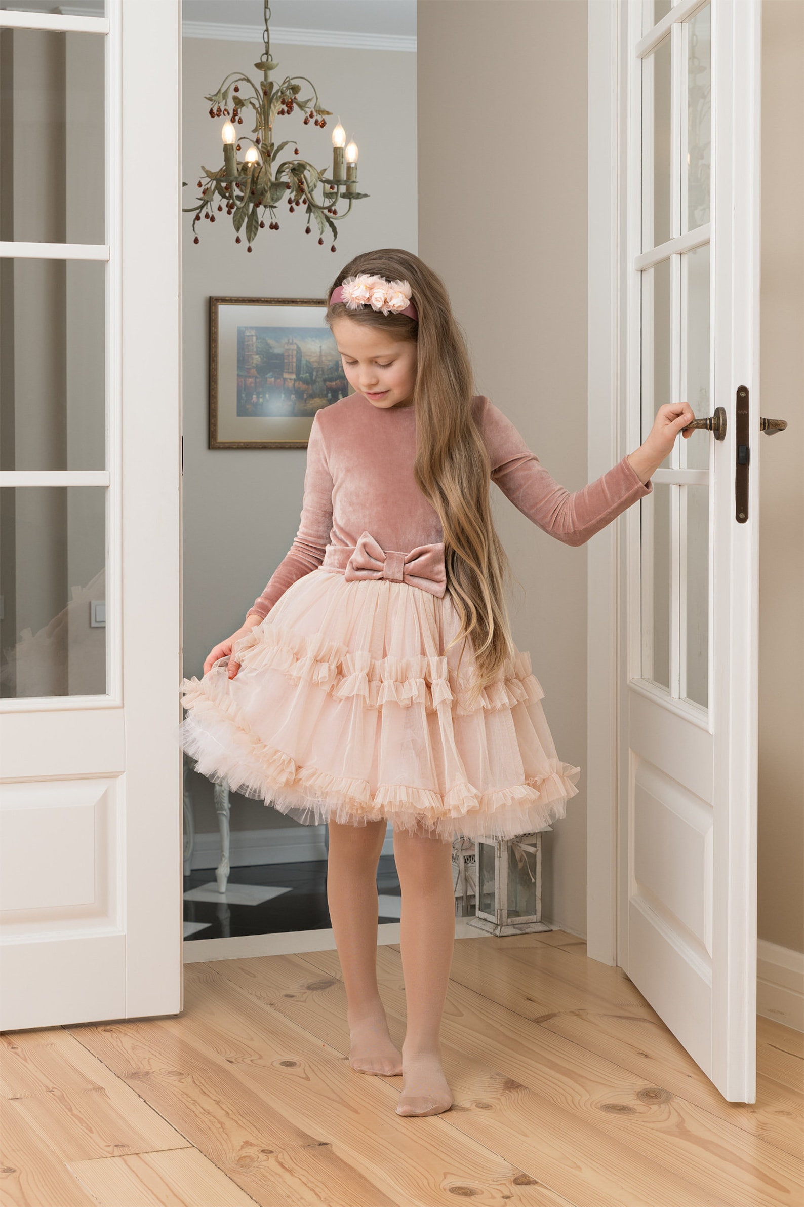 Long Sleeves Tulle Dress, Girls Party Dress, Birthday Dress, First ...
