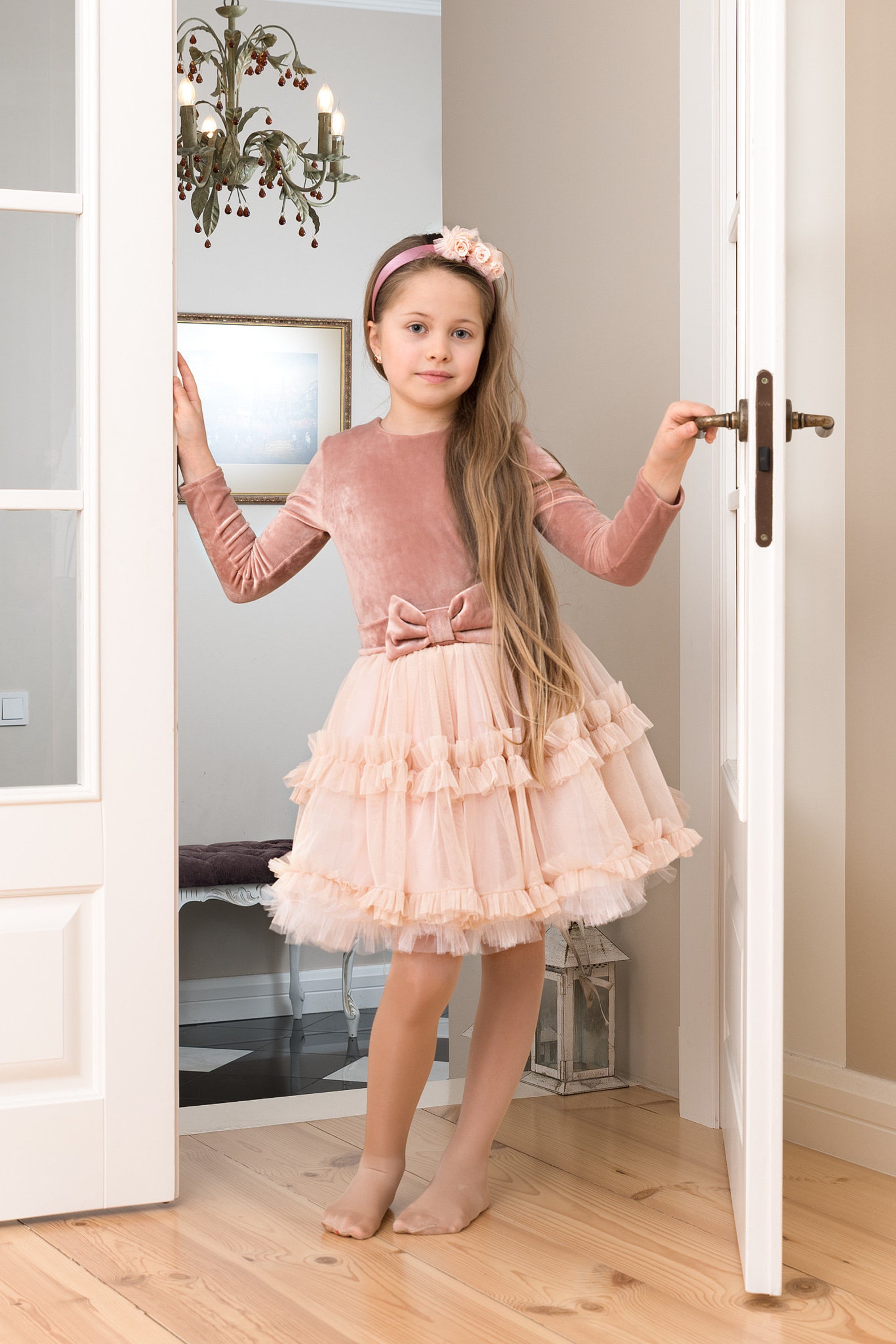 Long Sleeves Tulle Dress, Girls Party Dress, Birthday Dress, First ...