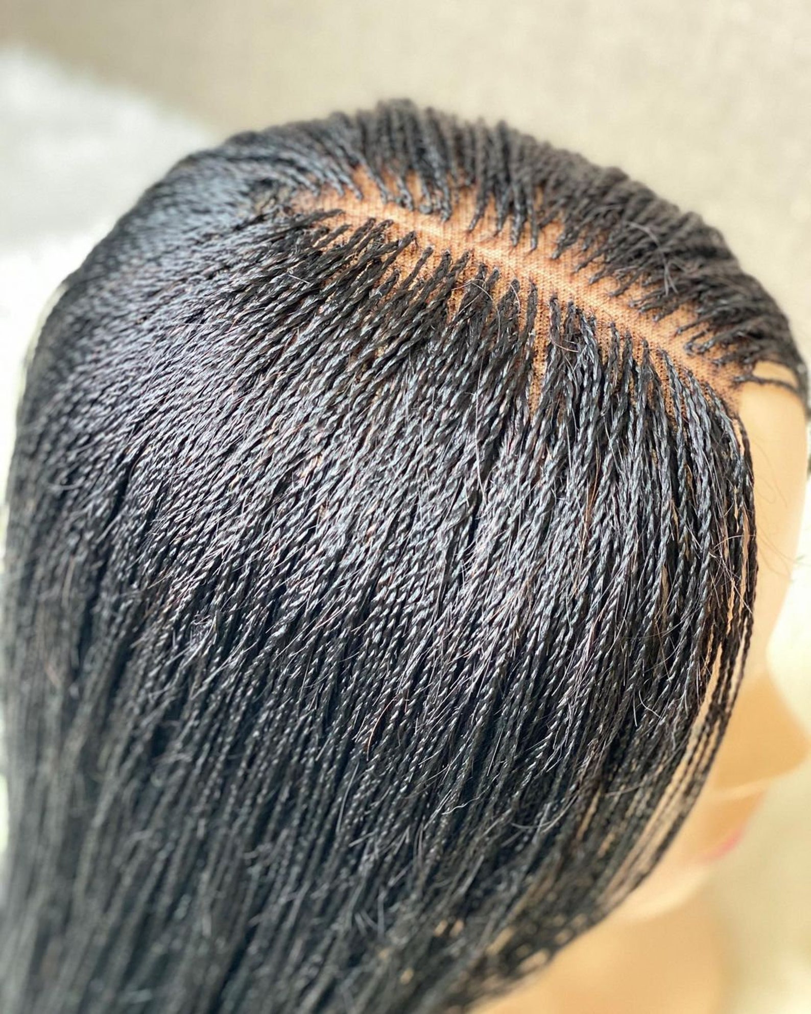 Long Micro Braid Braided Wig, Lace Front Wig, Full Lace Wig, Frontal ...