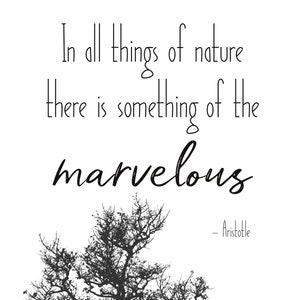 Printable Quote in All Things of Nature There is - Etsy Canada