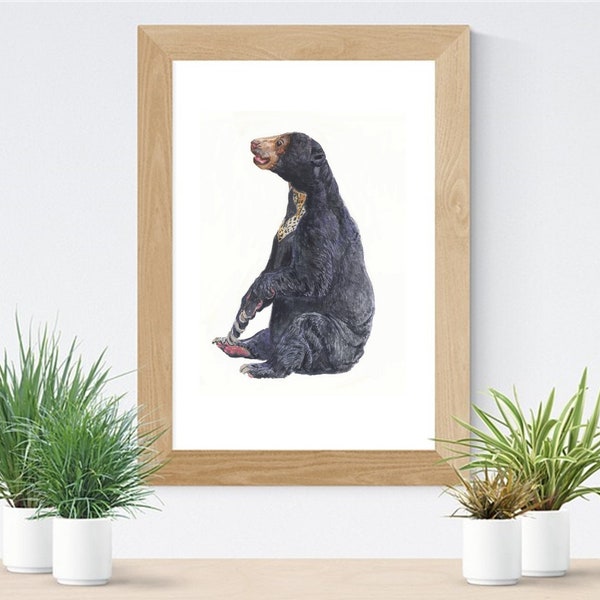Sun Bear - Etsy
