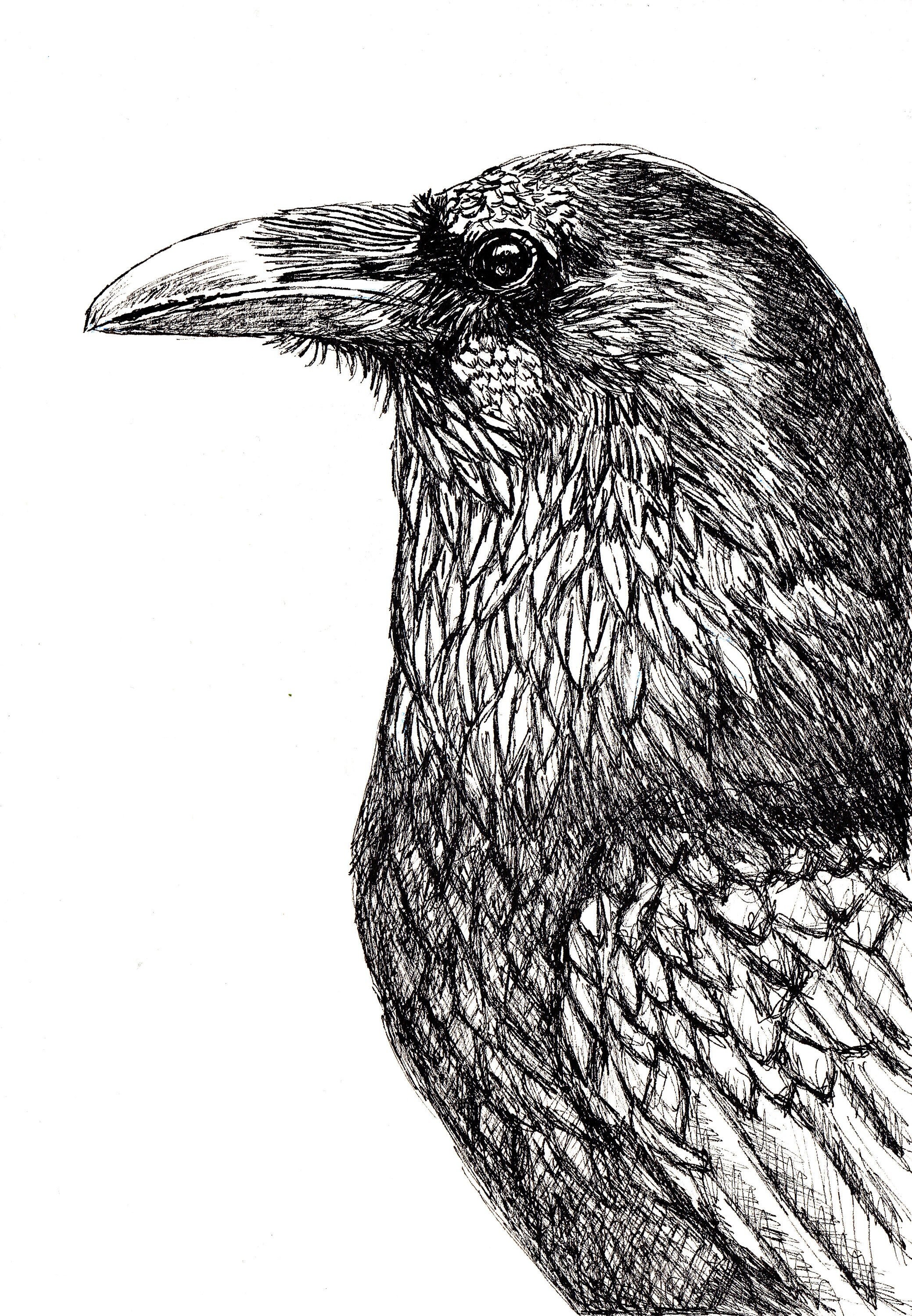 Raven Art Print | Raven Artwork, Raven Wall Decor, Raven Art Print ...