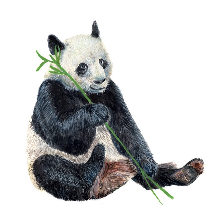 PANDA BEAR Print, Panda Watercolor, Panda Painting, Animal Art, Panda ...