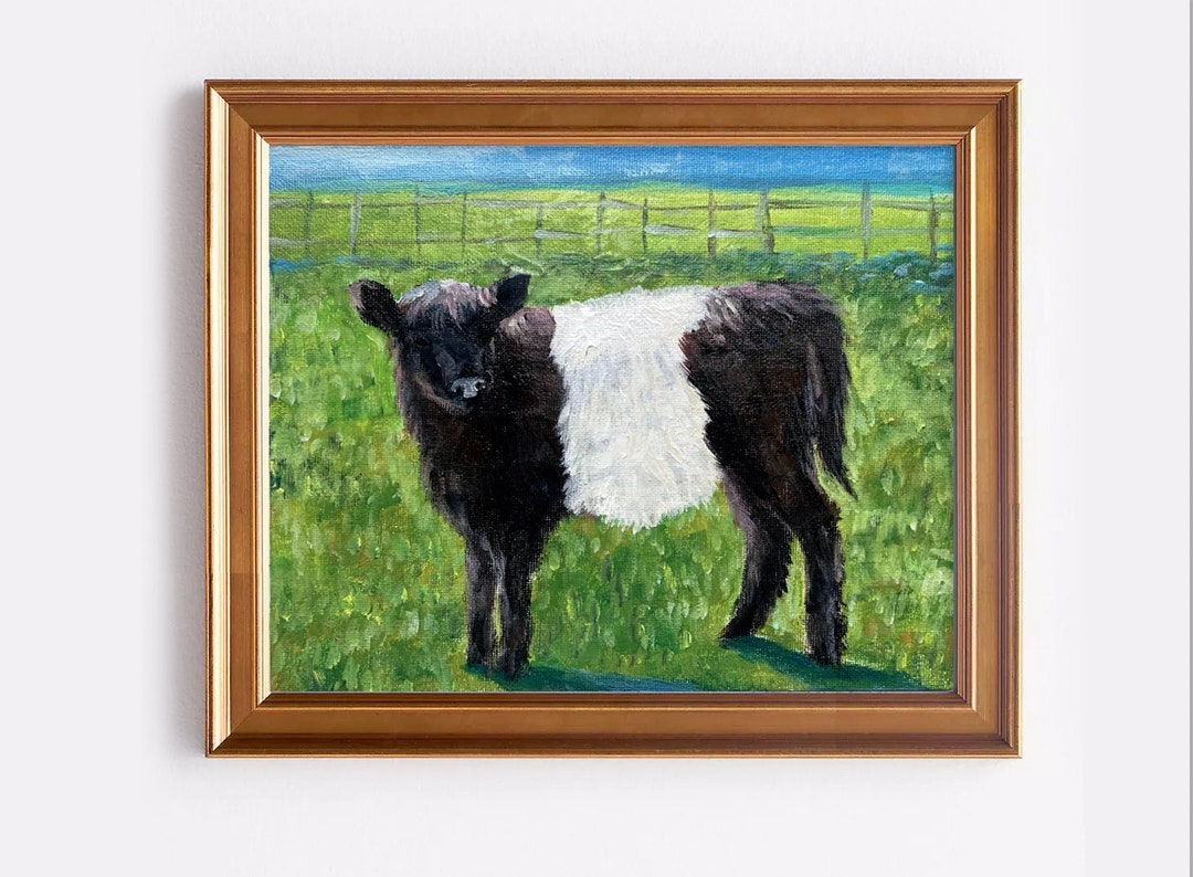 ORIGINAL PAINTING: "young Belted Galloway Cow" by Delaware Artist ...