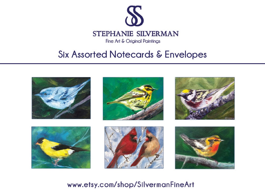 Backyard Birds Note Card Set: Stephanie Silverman Art, Set of 6 - Etsy