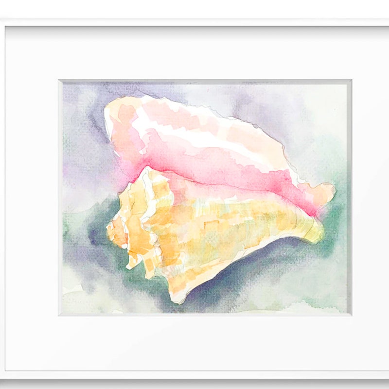 Shell Watercolor - Etsy