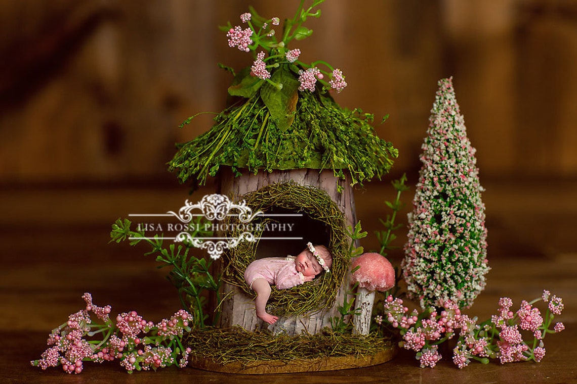 Digital Backdrop Background Newborn Baby Girl Boy Fairy Woodland Garden ...