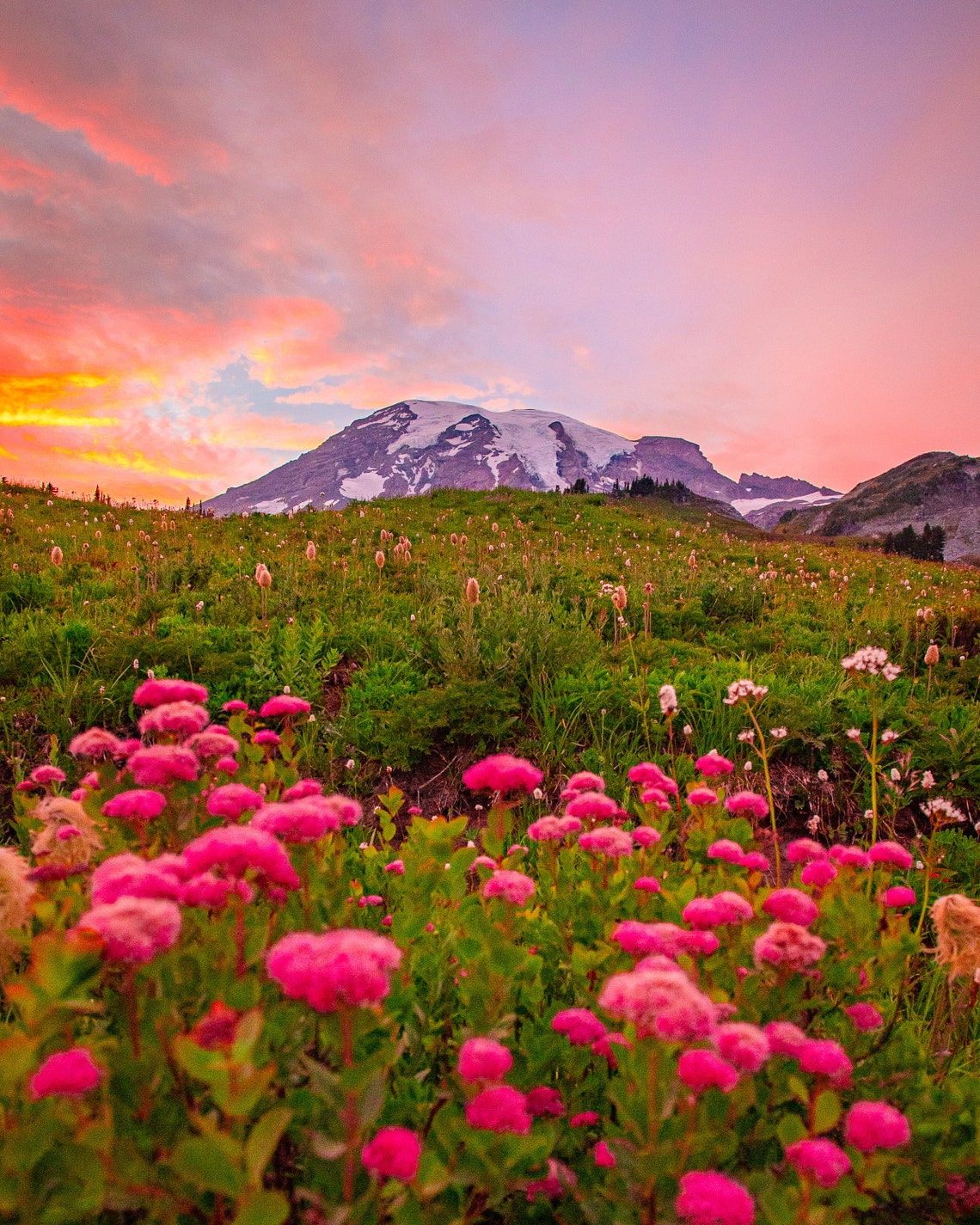 Rainier Sunset - Etsy