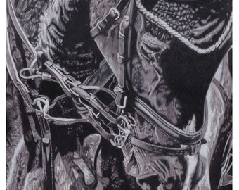 Horse Art Print valegro and Charlotte Dujardin Signed - Etsy