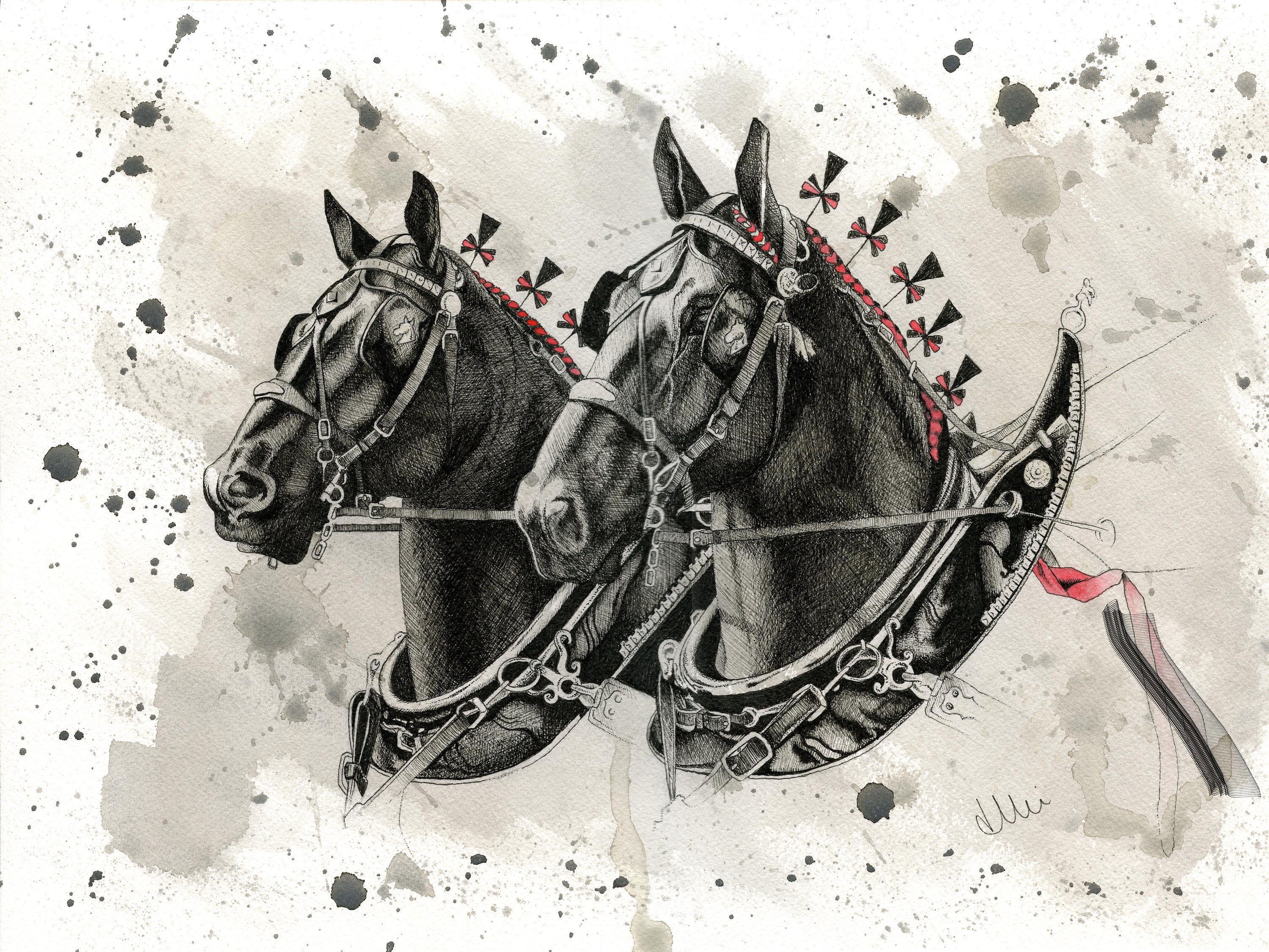 Horse Art Print Percheron Draft Pair Giclee - Etsy