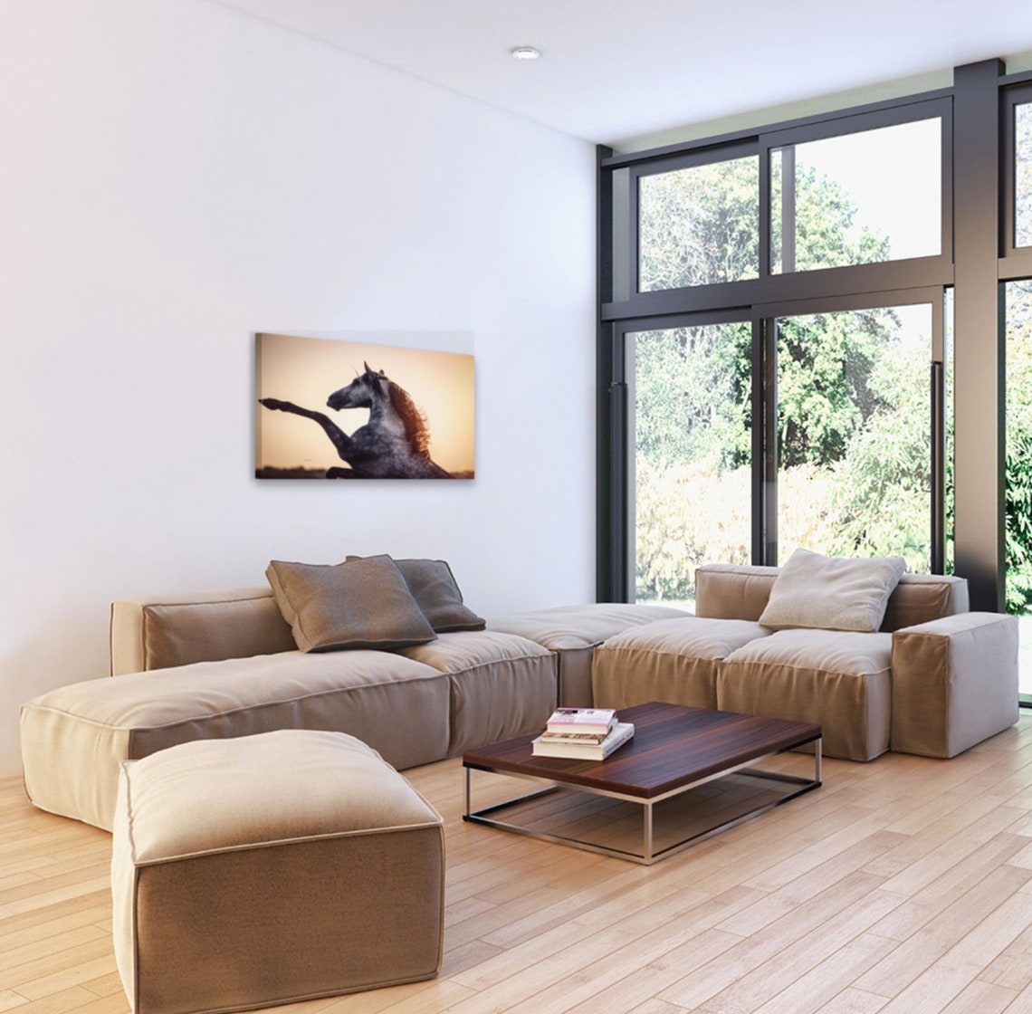 Horse Art Print Warlander Stallion Giclee - Etsy