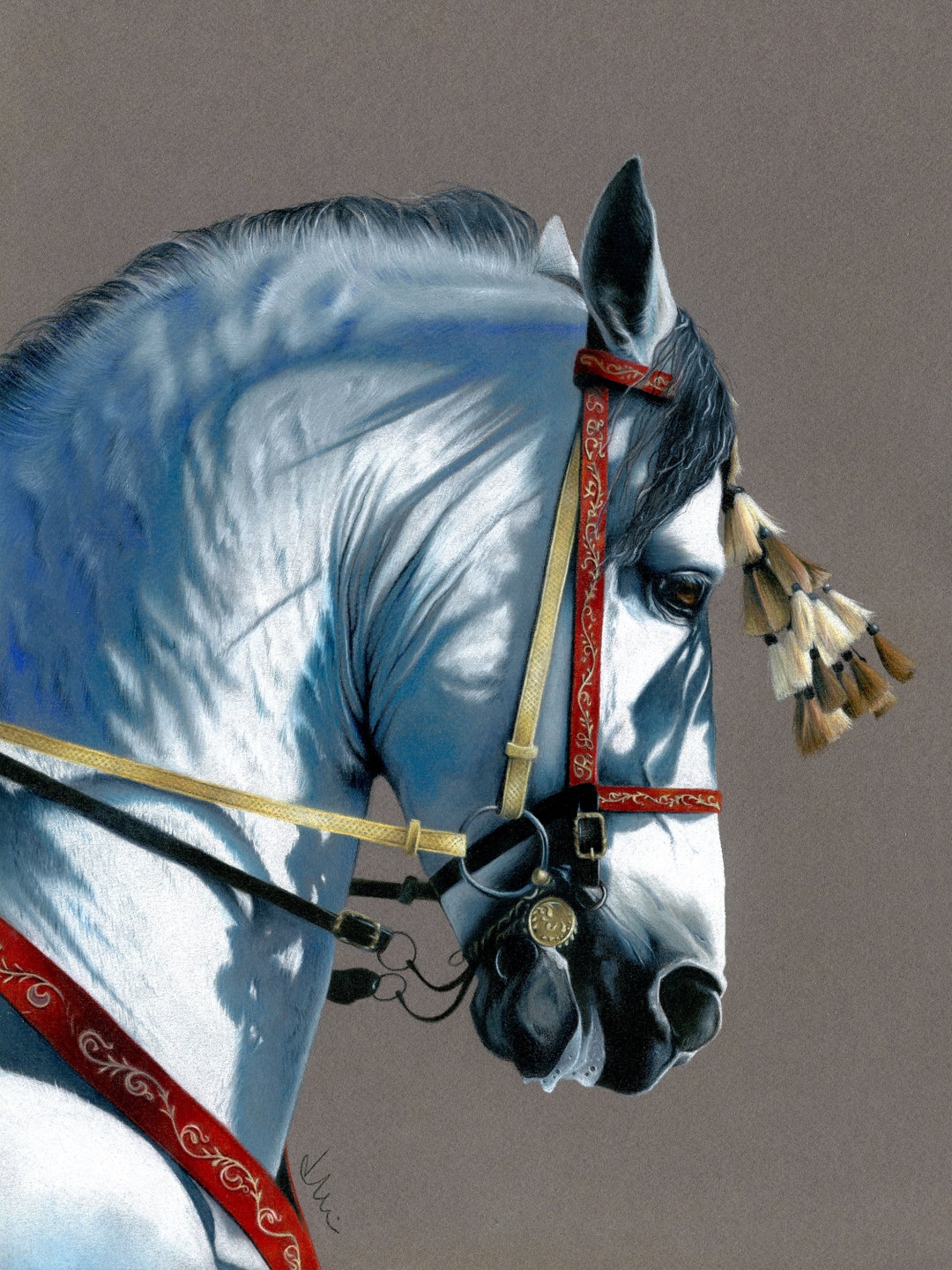 Gray Andalusian Stallion Original Colored Pencil Portrait - Etsy