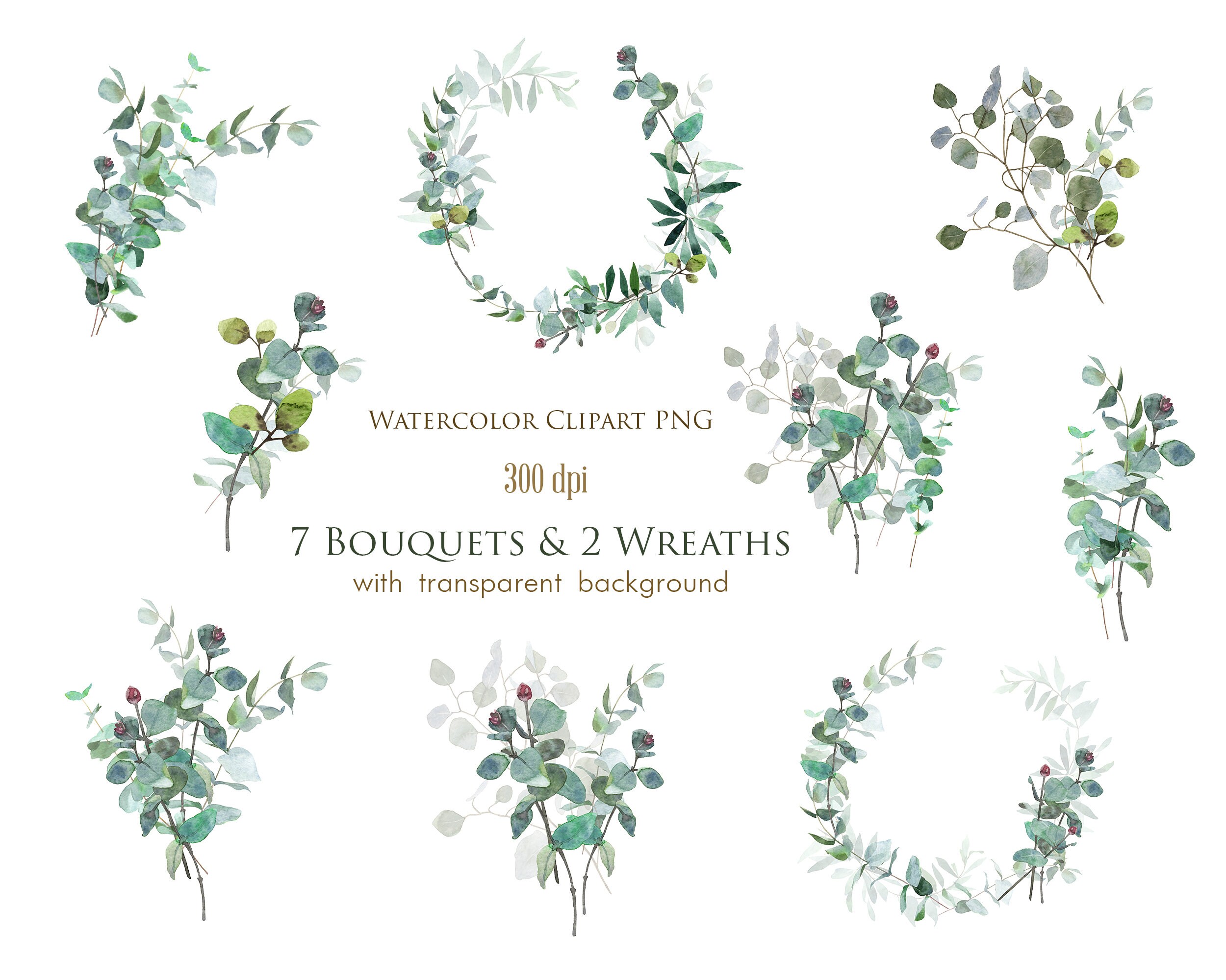 Watercolor Greenery Eucalyptus Clipart, Eucalyptus Bouquets Wreaths ...