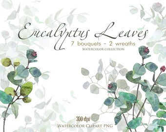 Watercolor Greenery Eucalyptus Clipart Green Foliage Green | Etsy