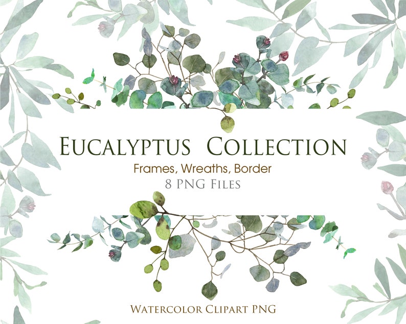 Watercolor Greenery Eucalyptus Clipart, Green Foliage, Green Leaves ...