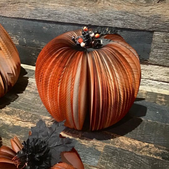 Book Pumpkins for HALLOWEEN - Etsy