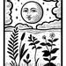 The Plants – Vintage Botanical Tarot-inspired Digital Print | Celestial ...