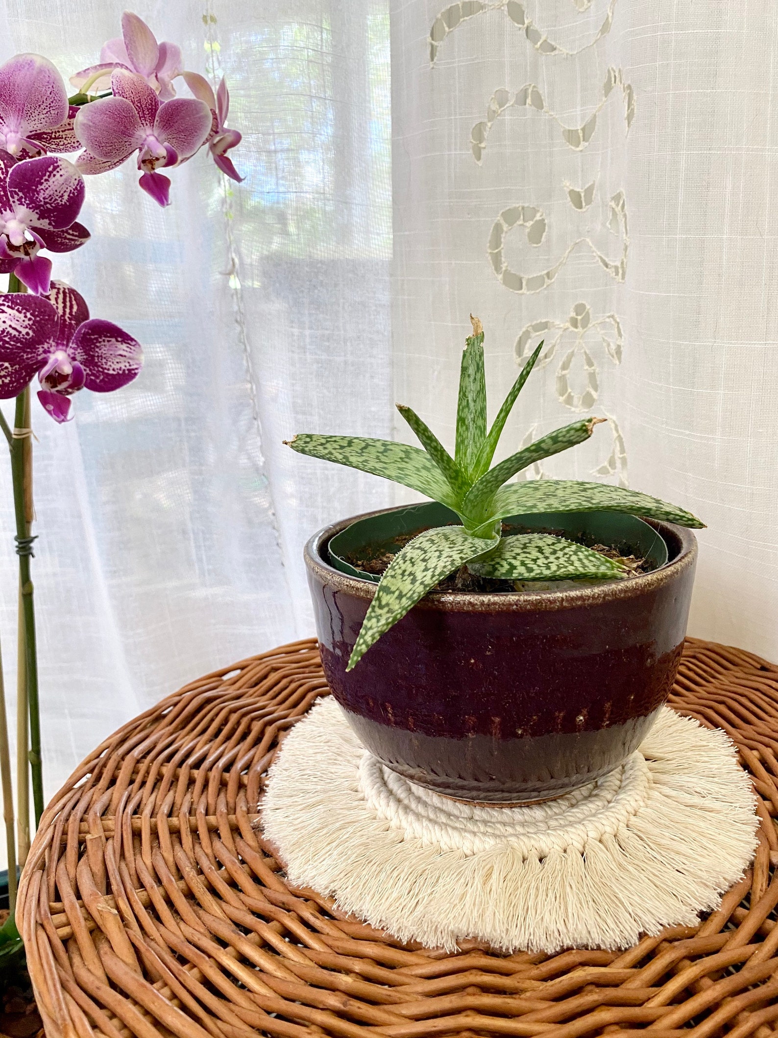 Macrame Trivet Handmade Pot Coaster Large Macrame Coaster | Etsy