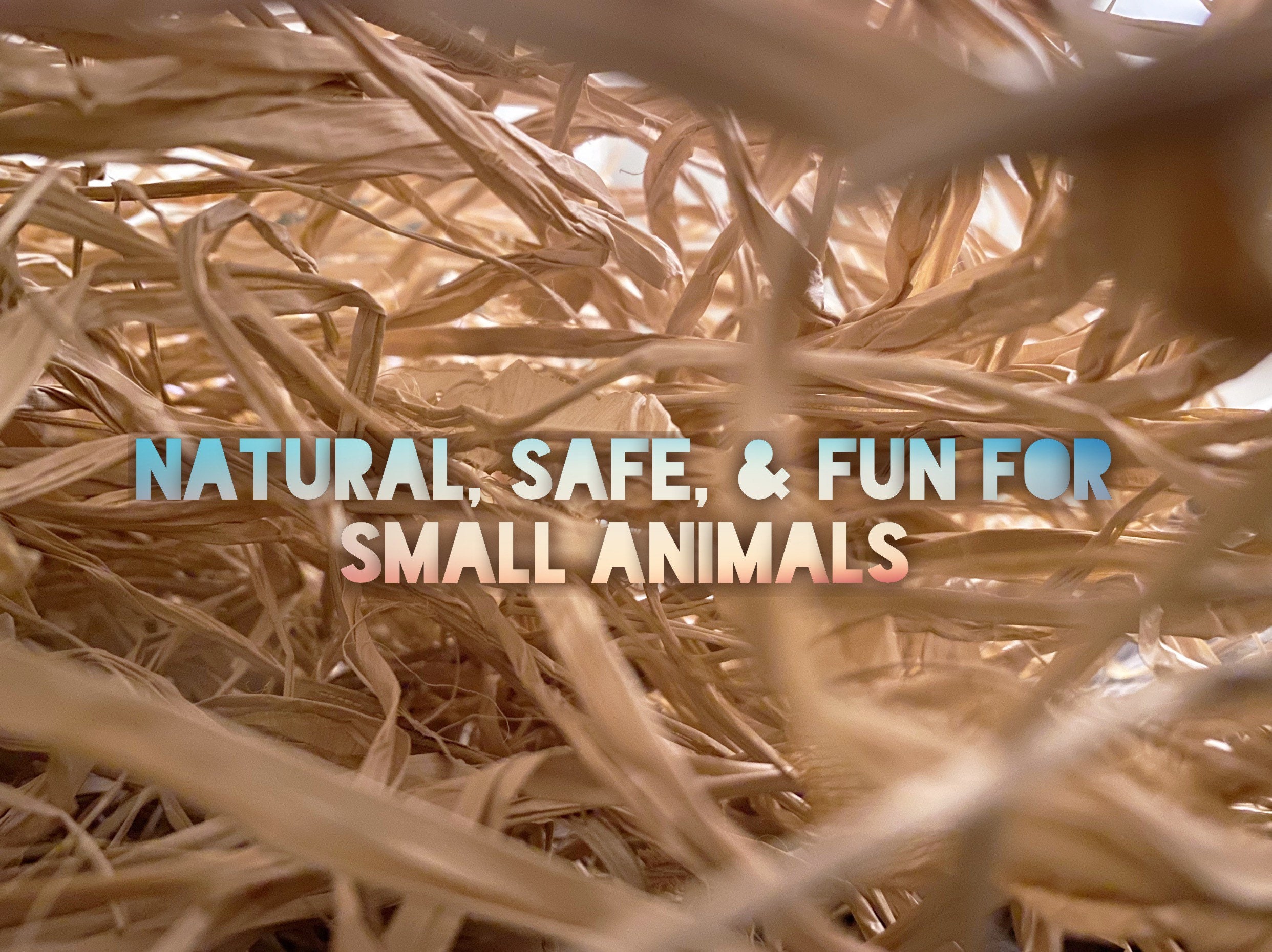 Raffia Toy for Small Animals, Enrichment for Rats, Mice, Hamsters ...