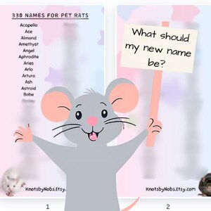 List of Names for Baby Rats | 330 Pet Rat Names | All-gender List of ...