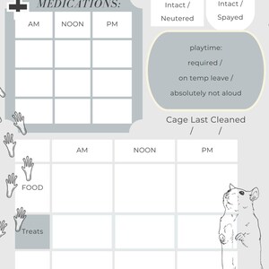 Rat Care Sheet - Digital Download & Print - Easily Keep Track of Pet ...