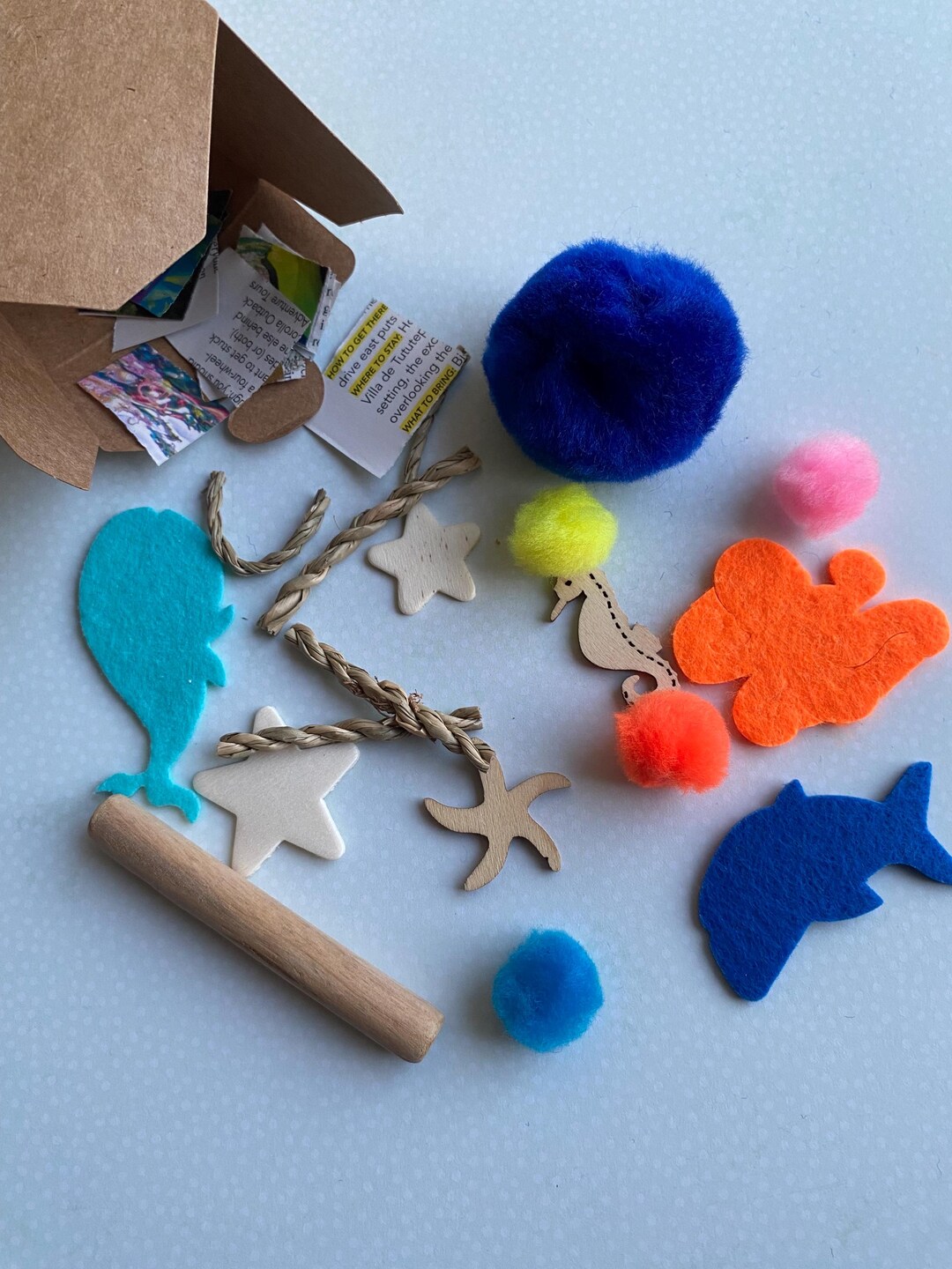 Rat Forage Box under the Sea Boredom Breaker for Small Animals - Etsy
