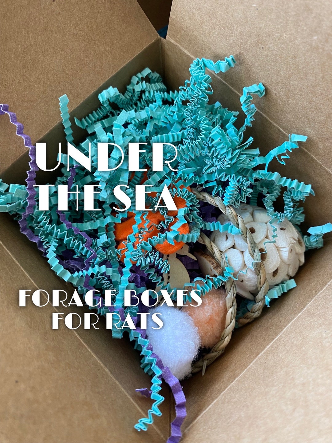 Rat Forage Box Large Enrichment Item Made for Small Animals Under the ...