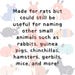 List of Names for Baby Rats | 330 Pet Rat Names | All-gender List of ...