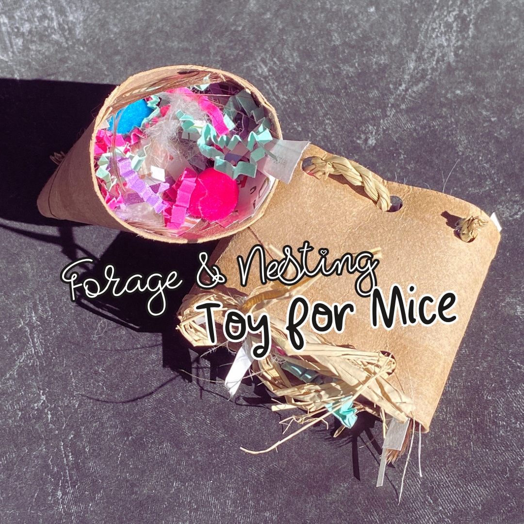 Toy for Pet Mouse | Mouse Forage & Nesting Toy | Enrichment Item for ...