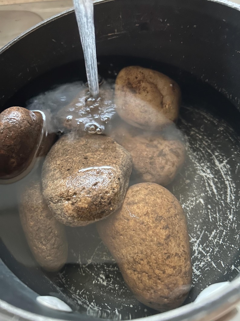 Rat Pee Rocks: Urine Training Set - Cage Enrichment - NOW With FREE ...