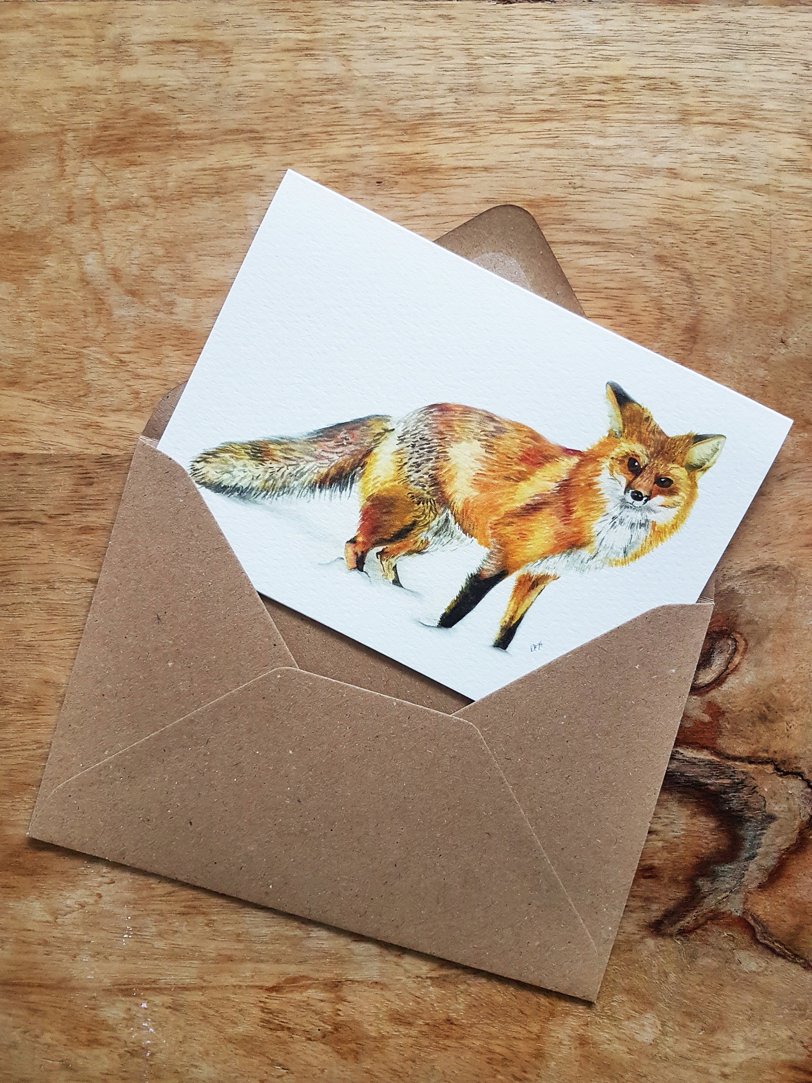 Fluffy Fox Greetings Card Animal Lovers Classic | Etsy