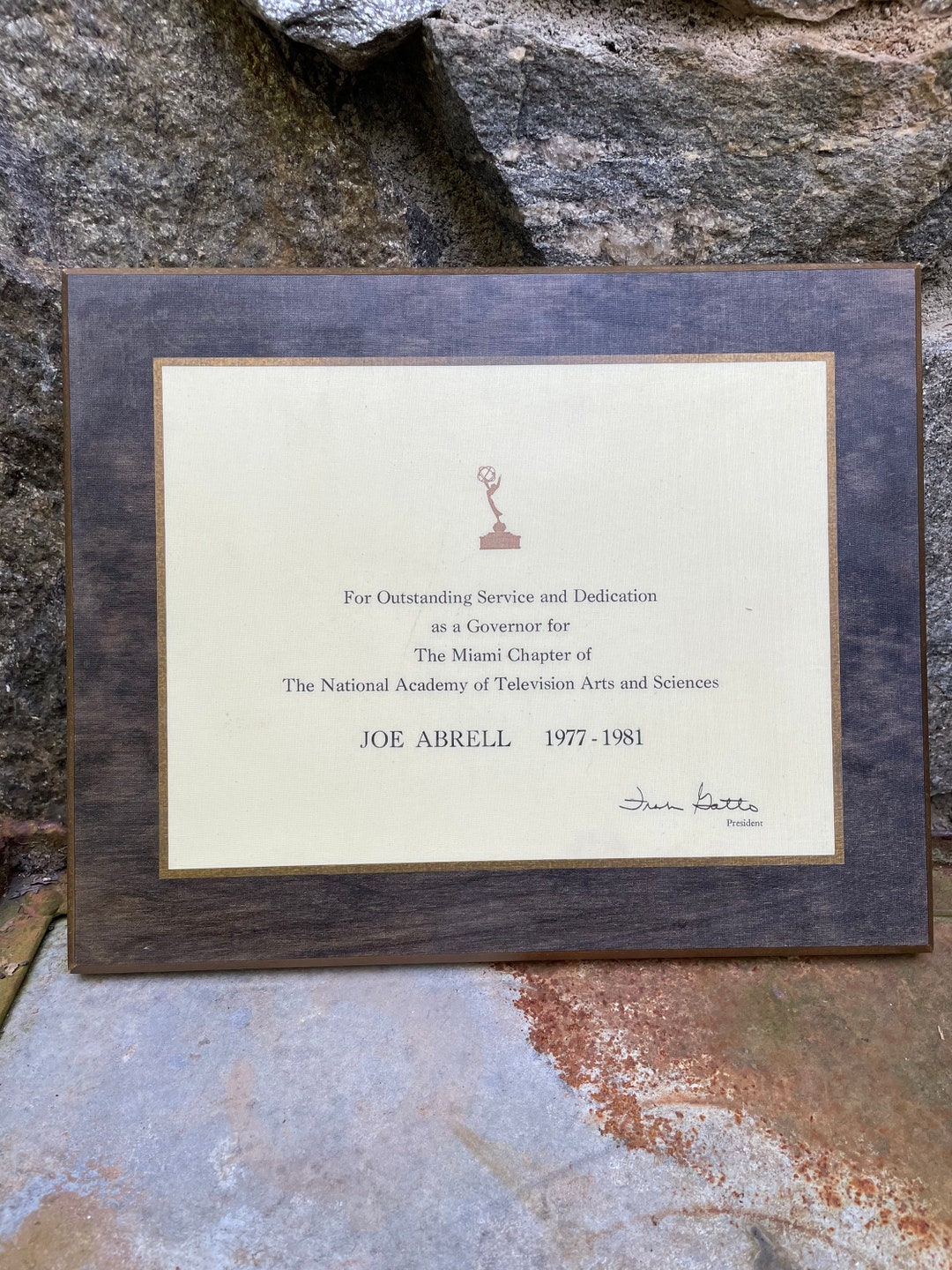 RARE 1981 EMMY Award, Citation Academy Television Arts & Sciences ...