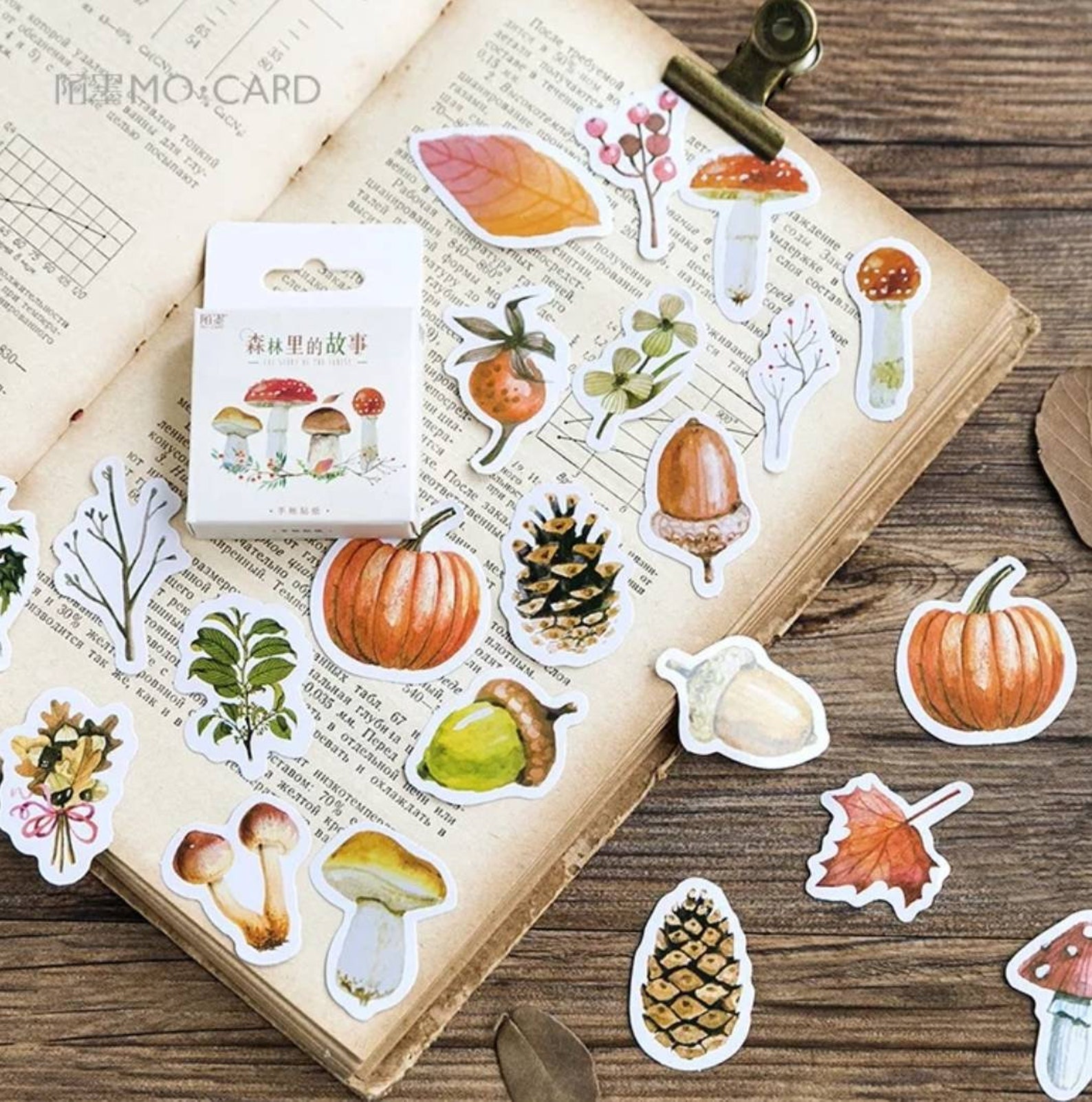 Autumn stickers Journal stickers planner stickers winter | Etsy