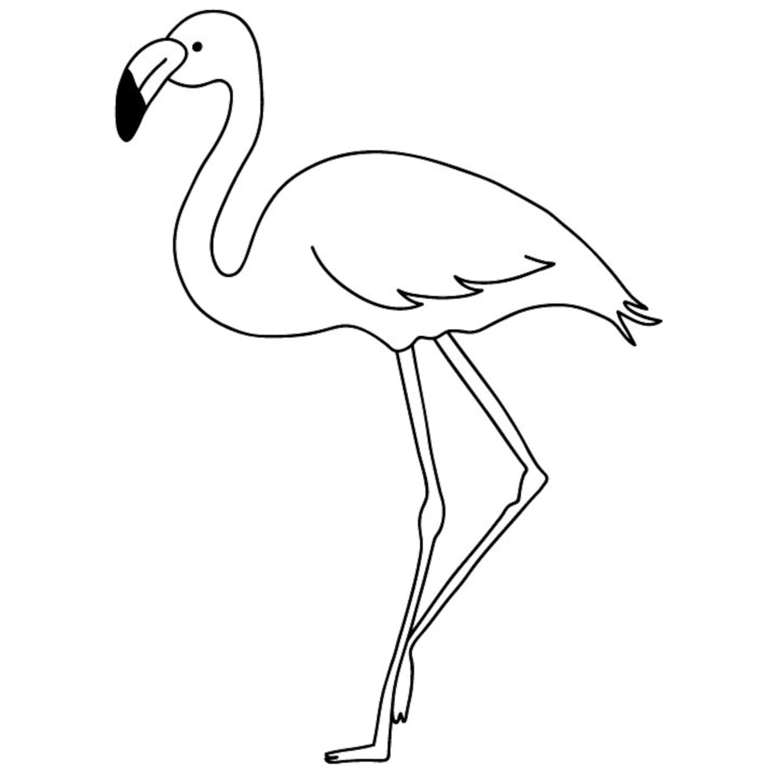 Flamingo svg flamingo outline svg flamingo cut file flamingo | Etsy
