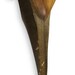 Hand Made Pintail Duck Wood Carving Hummel Woodworking - Etsy Canada