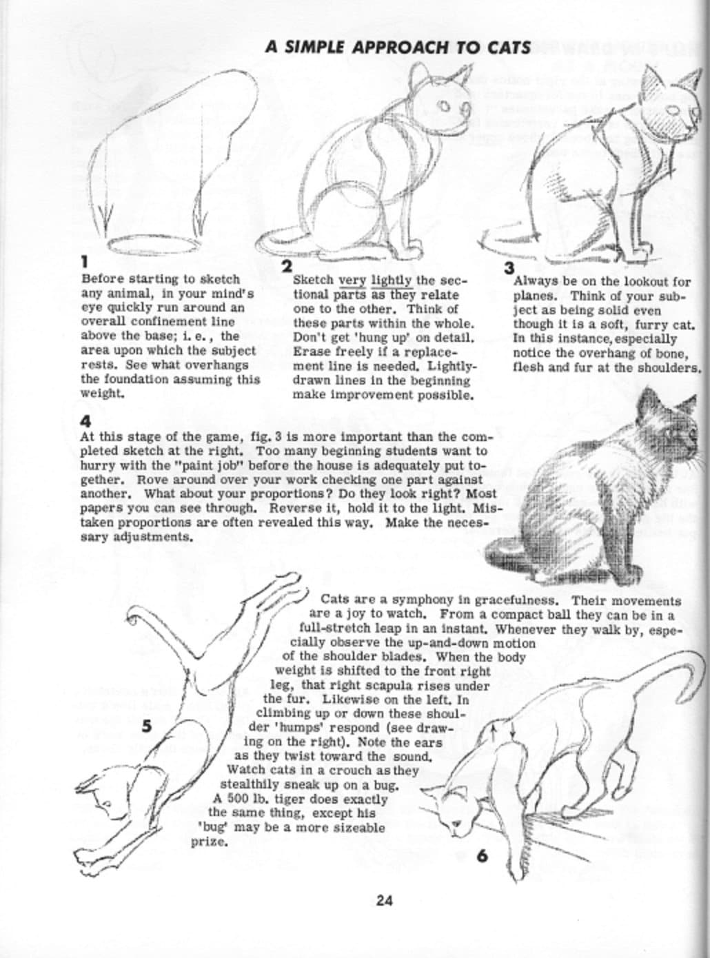 How to Draw Animals Instructions for Drawing Animals With More Than a ...